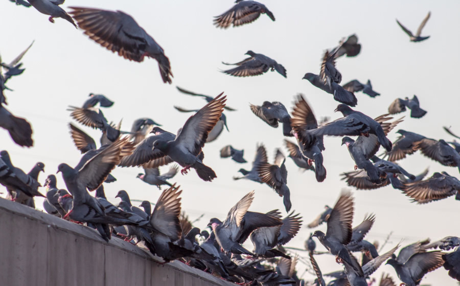 Autonomous drones, triggered by a machine learning algorithm, could ...