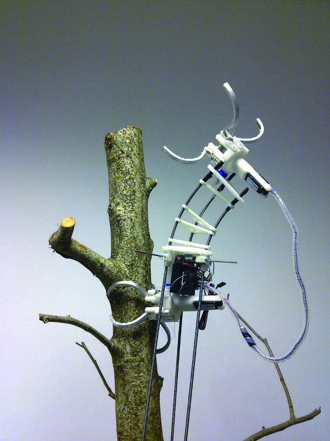 Treebot