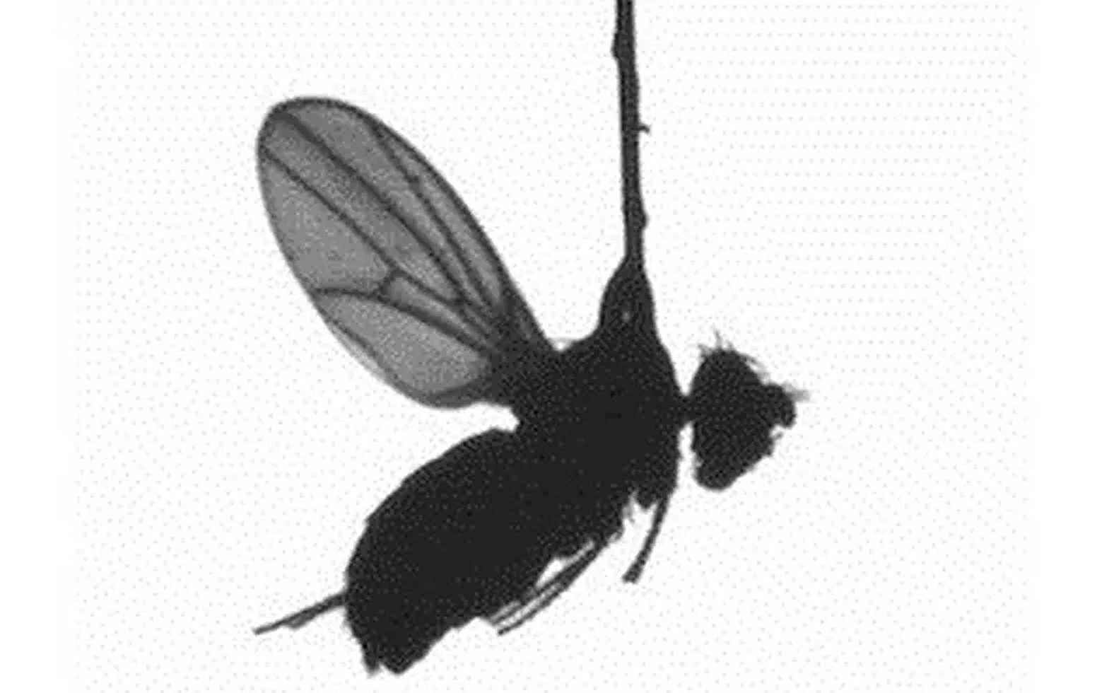 Podcast: Abstract Machine Learning, 3D Printing Airplanes, Learning ...