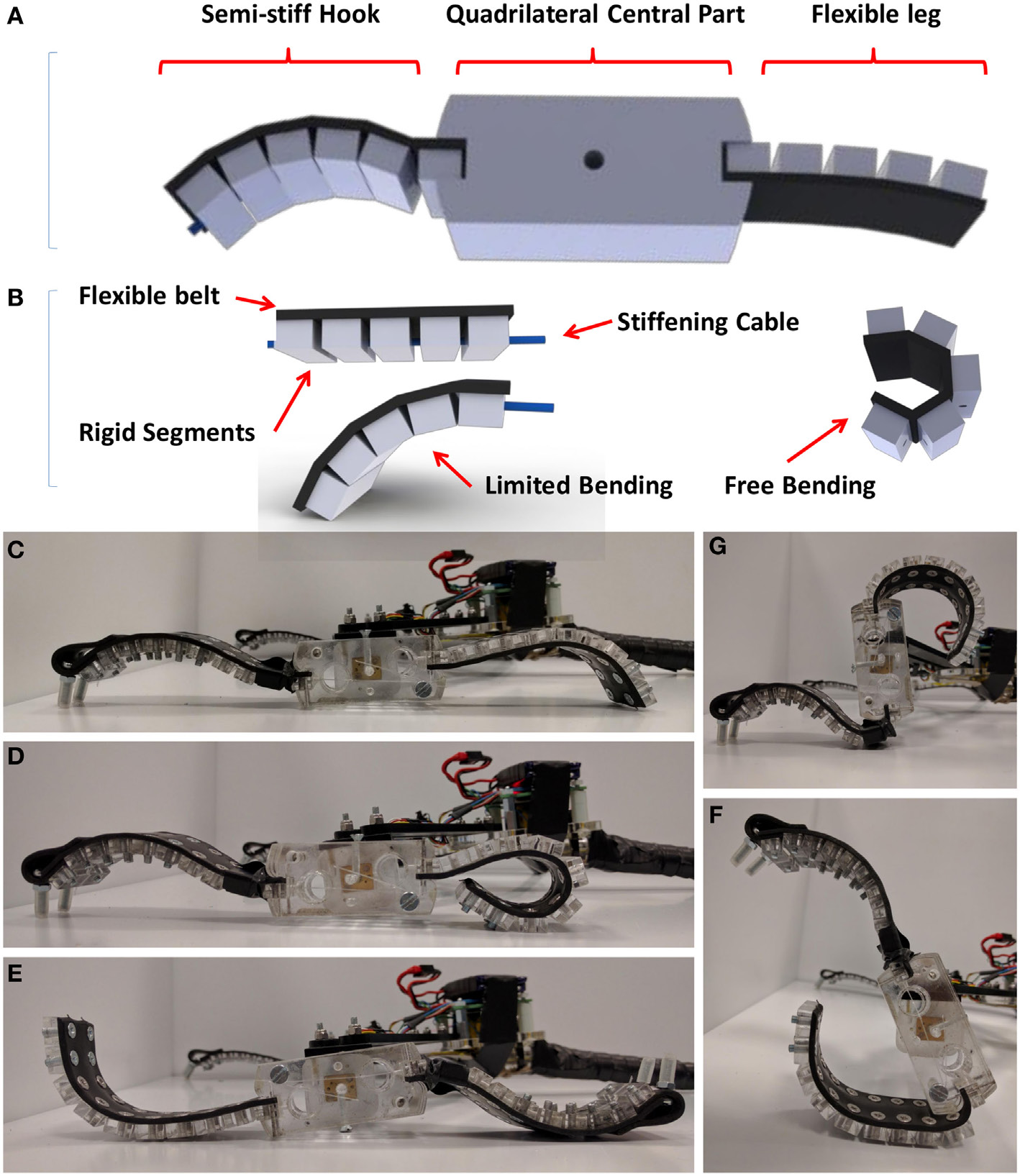 Soft-legged wheel-based robot