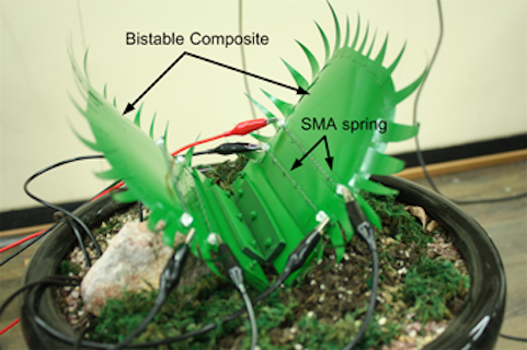 Robotic Fly Trap