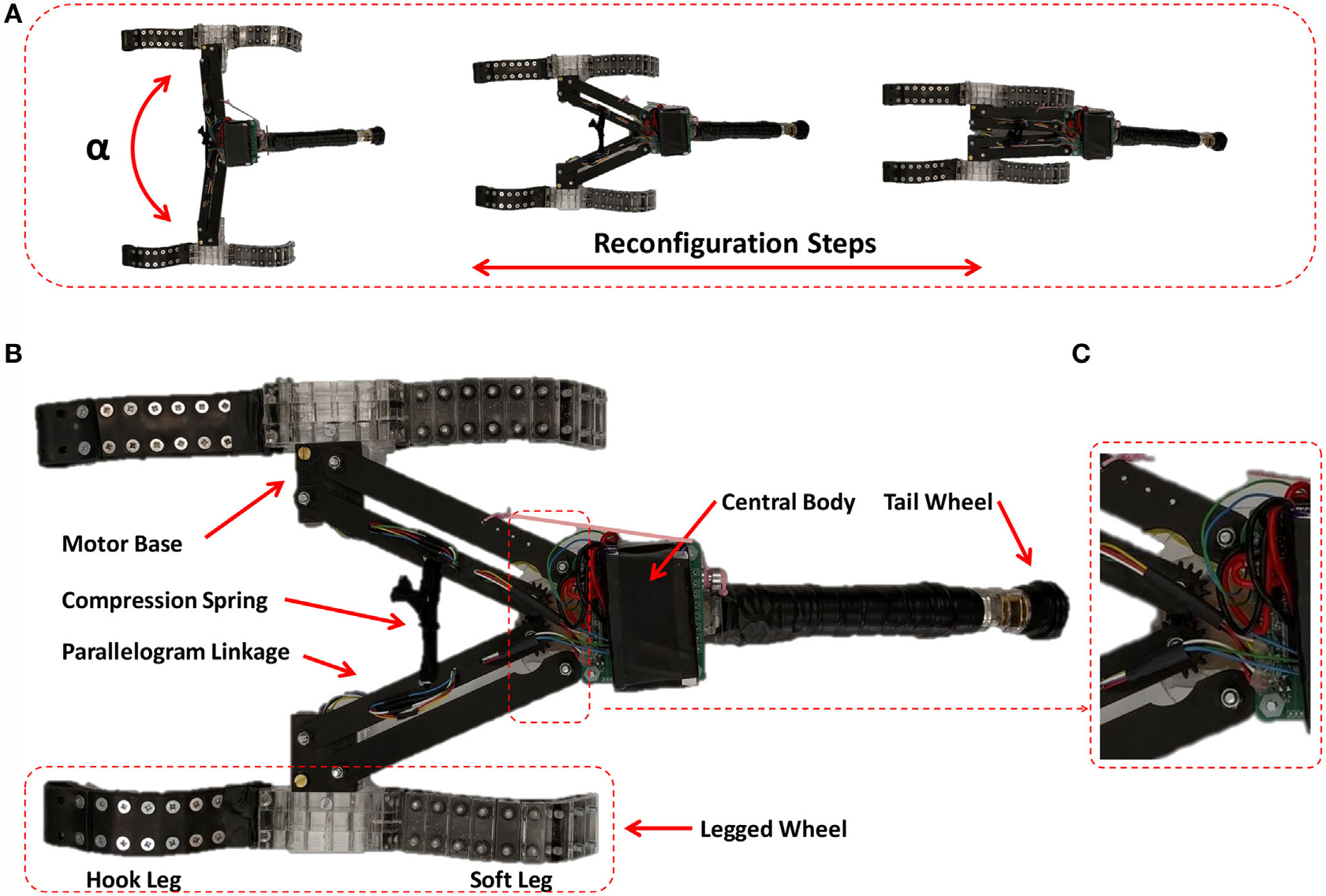 Soft-legged wheel-based robot